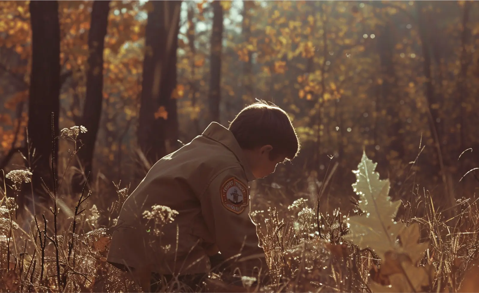 Psilocybe azurescens: Natures Most Potent Psilocybin Mushroom