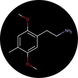 2C-B Guide and Other Phenethylamines: Understanding the “Lost Family ...