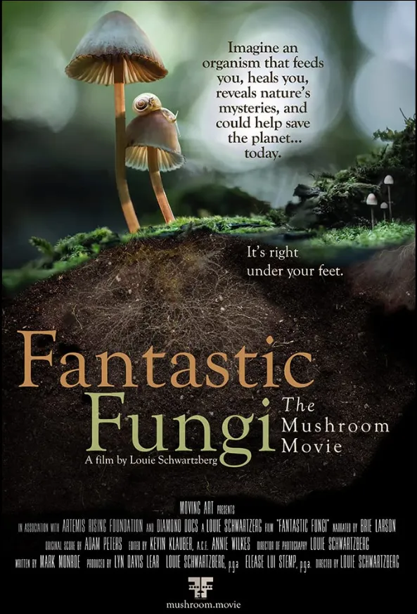 Top Psychedelic Movies, Documentaries & TV Shows