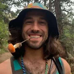 Psilocybe cubensis: A Comprehensive Guide to the Most Popular Magic ...