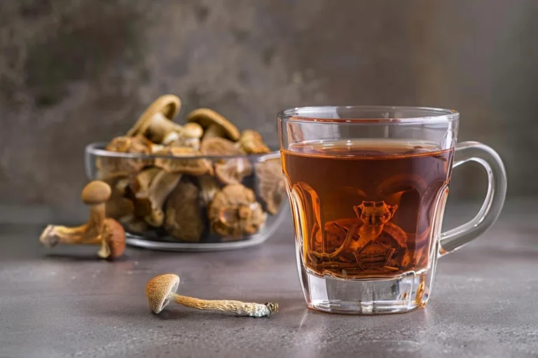 Psilocybe azurescens: Natures Most Potent Psilocybin Mushroom