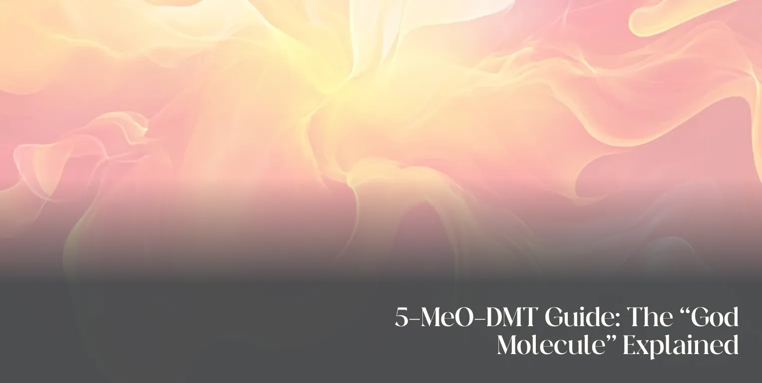 5-MeO-DMT Guide - Bufo Toad Psychedelic Explained