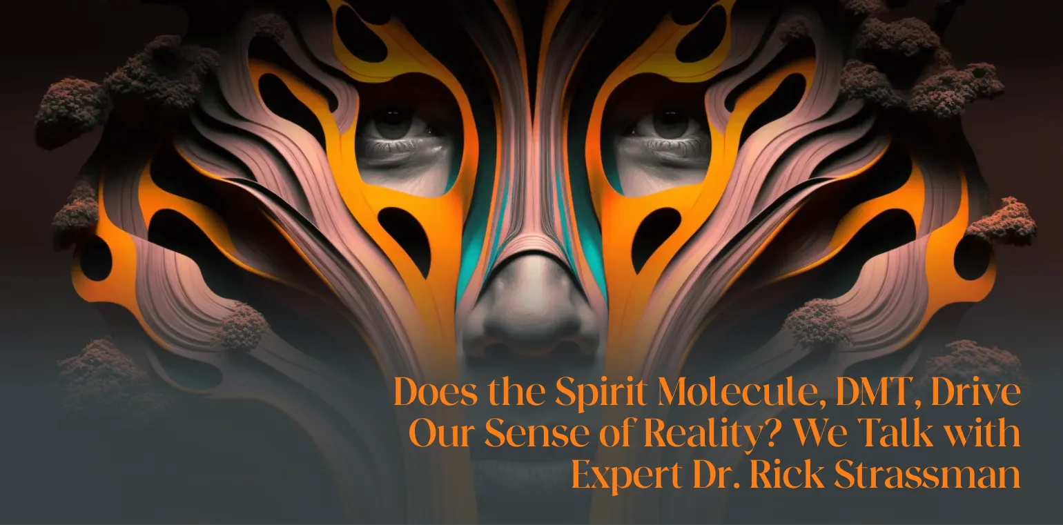Talking DMT and “Entities” with Dr. Rick Strassman