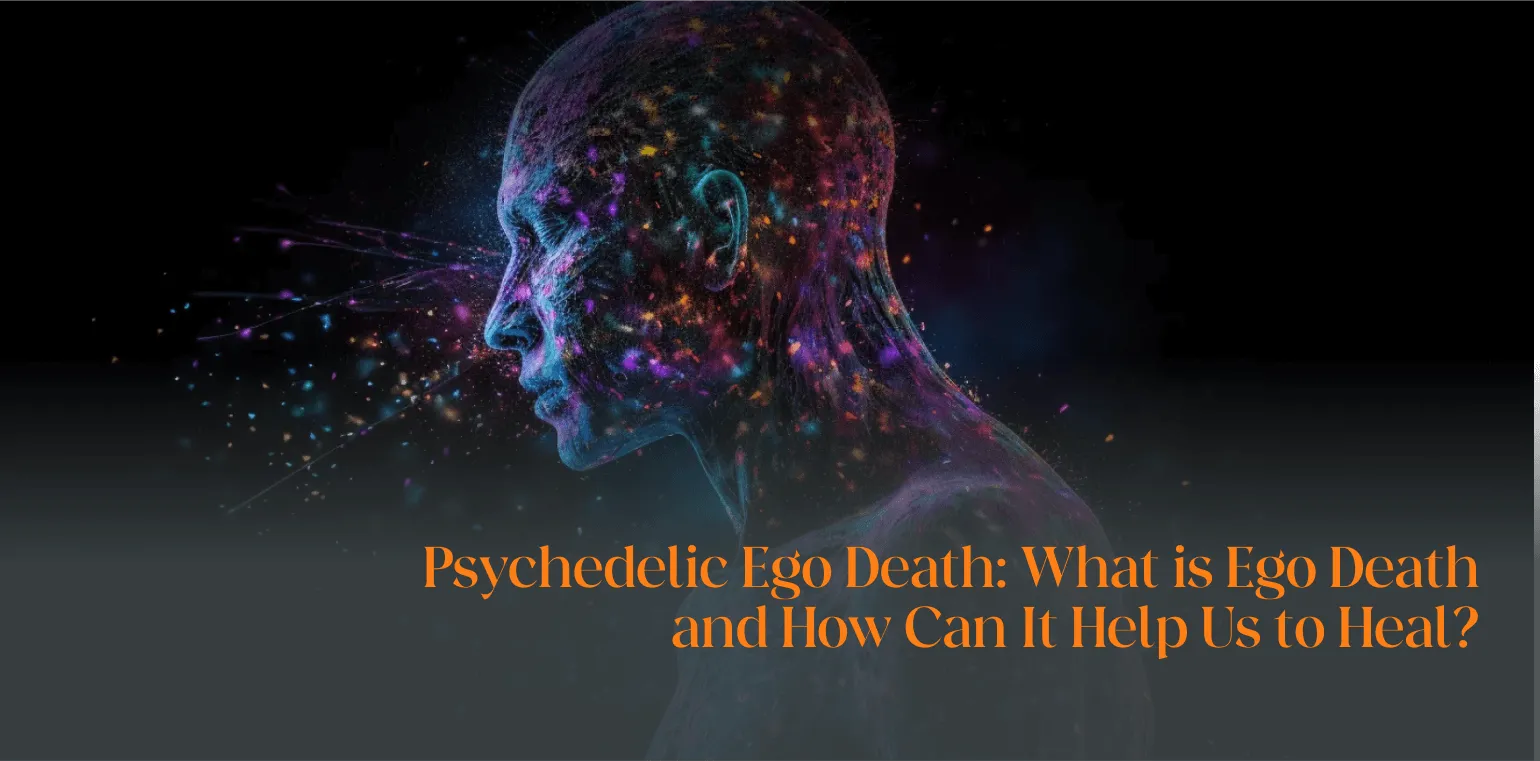 Psychedelic Ego Death: What is the Loss of "Self"? How Can It Help Us ...