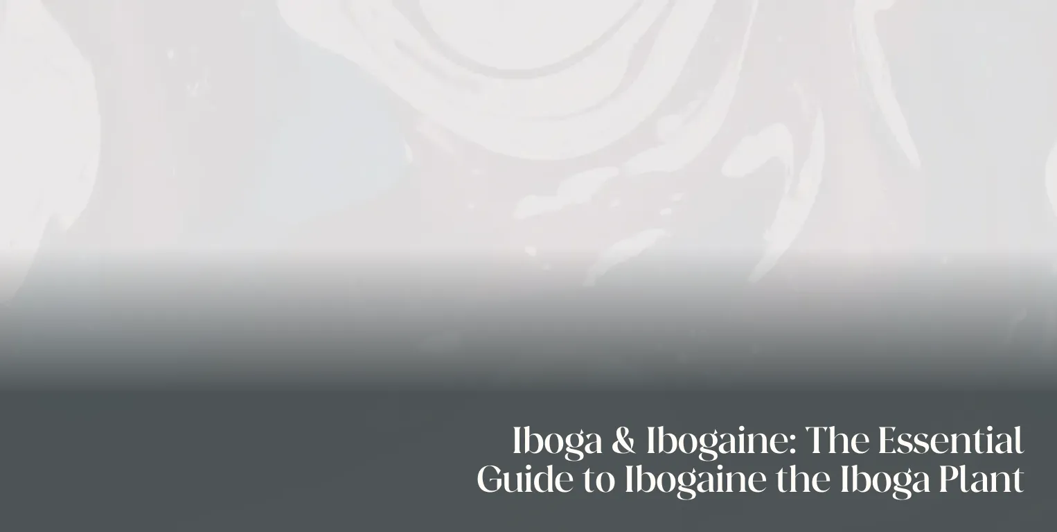 The Essential Guide to Ibogaine & the Iboga Plant