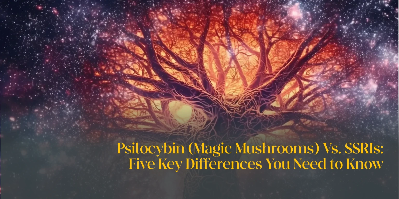 Psilocybin (Magic Mushrooms) Vs. SSRIs: Five Key Differences You Need to Know