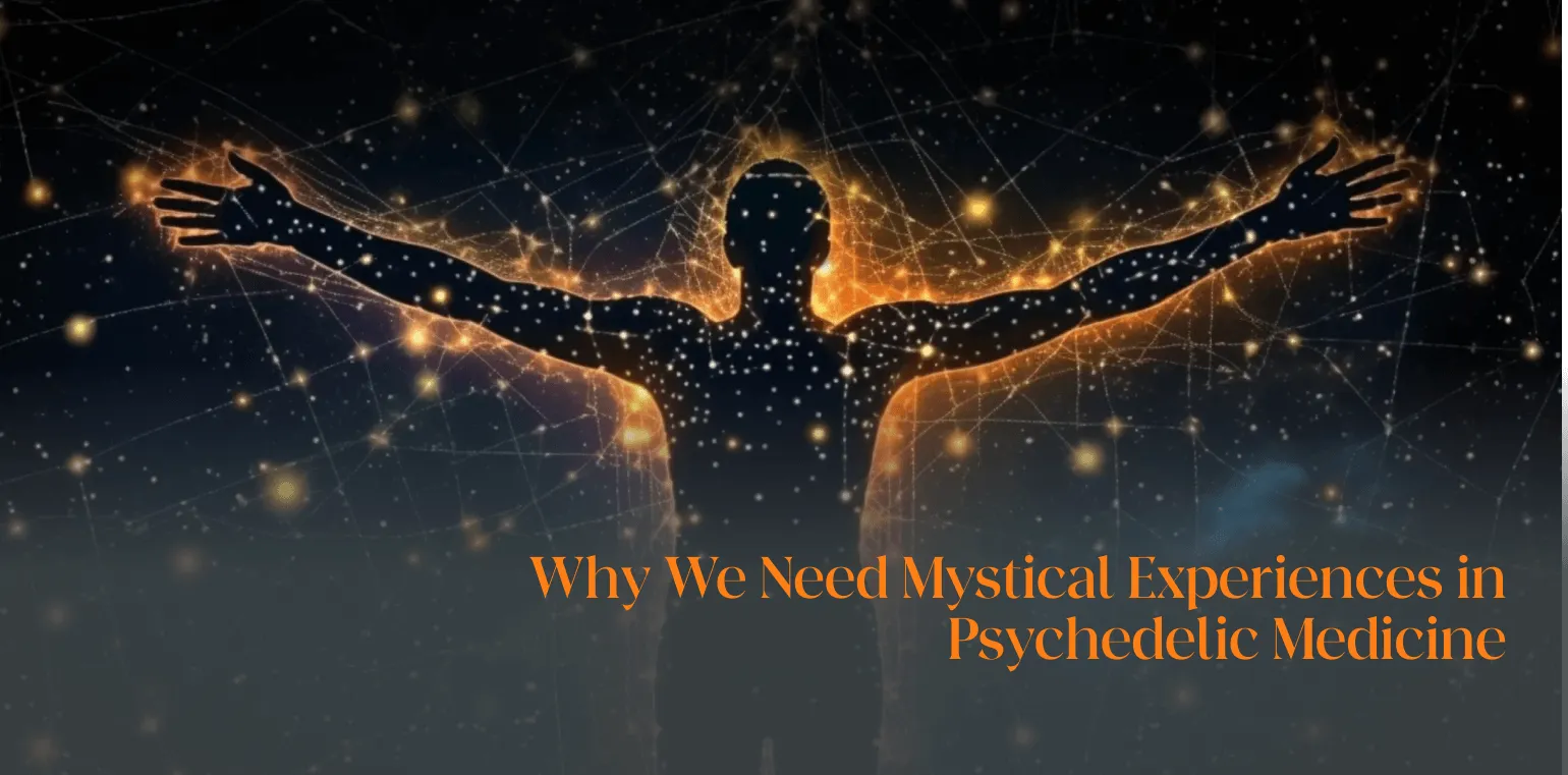 Why We Need Mystical Experiences in Psychedelic Medicine