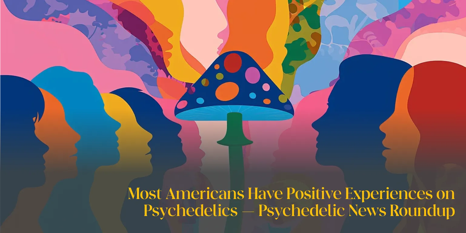 Most Americans Report Positive Experiences on Psychedelics ...