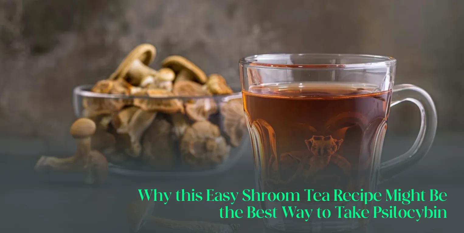 An Easy Shroom Tea Recipe: Why You Should Drink Psilocybin